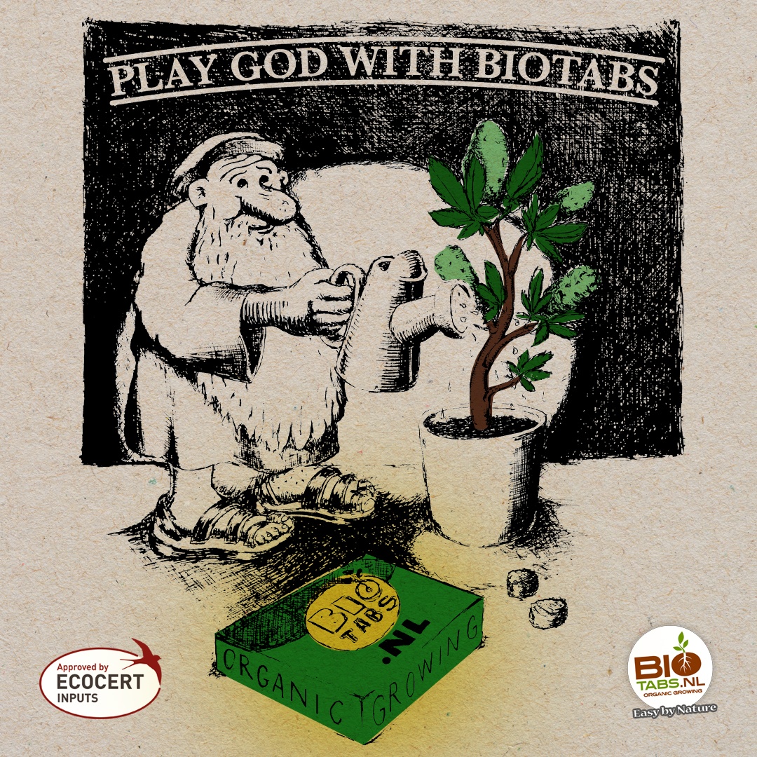 High Yields, Low Hassle | BioTabs